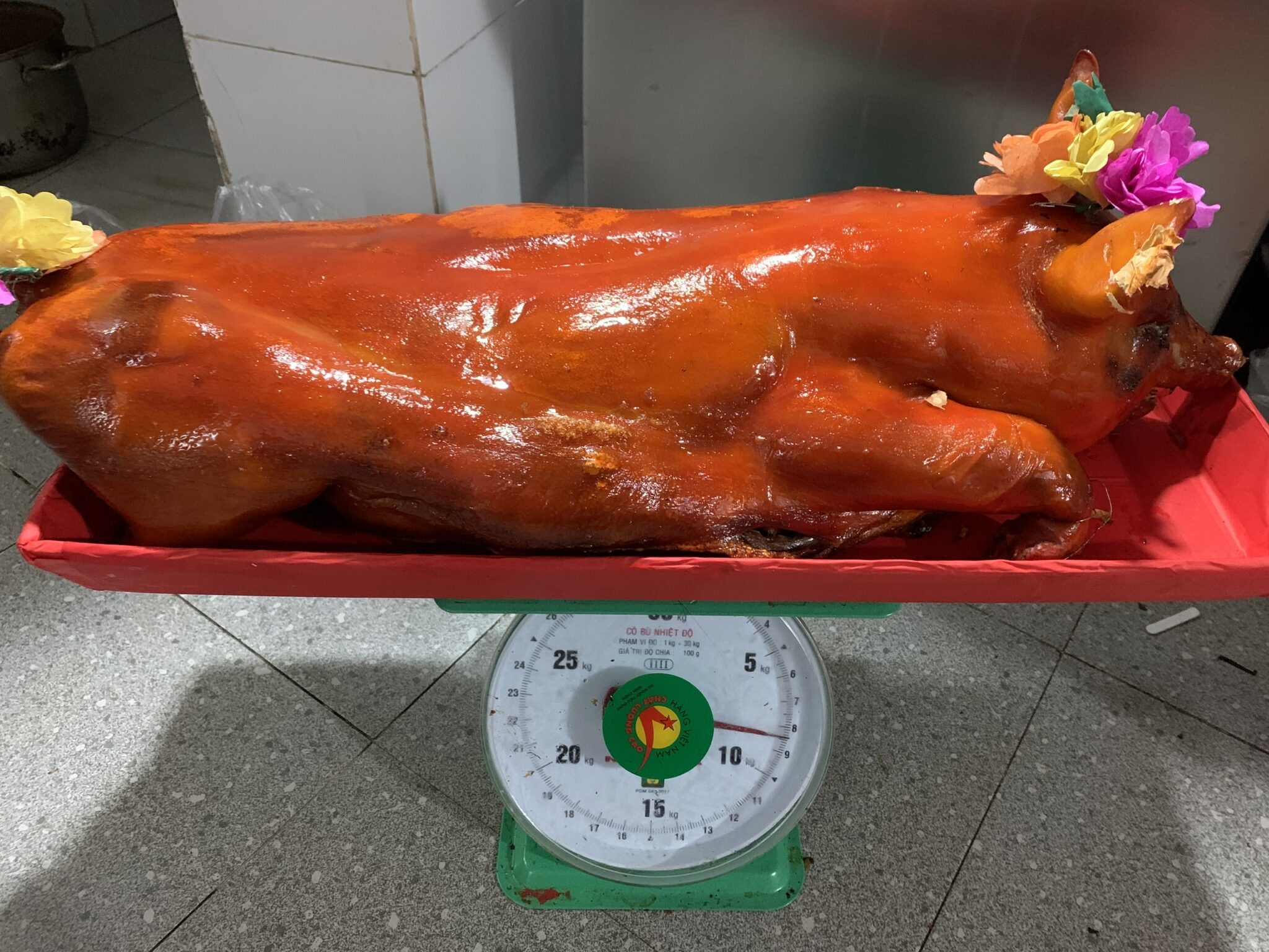 Heo sữa quay nguyên con | Heo quay cúng